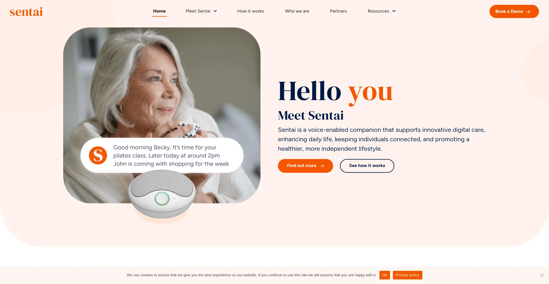 Sentai.ai 评论 | 扫描报告